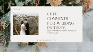 84+ Best Comments for Wedding Pictures Posted on Instagram — Trending Us