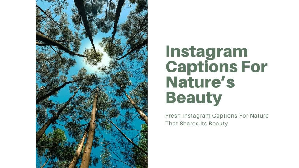 64 Fresh Instagram Captions For Nature That Shares Its Beauty Trending Us 64 Fresh Instagram Captions For Nature That Shares Its Beauty Trending Us