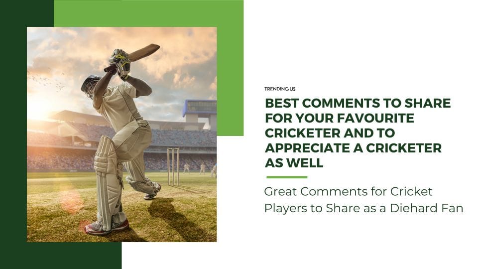 44 Appreciable Comments for Cricket Players to Share as a Diehard Fan ...