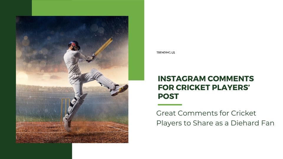 44 Appreciable Comments for Cricket Players to Share as a Diehard Fan ...