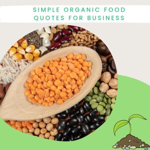 80+ Captions for Organic Food Business — Trending Us