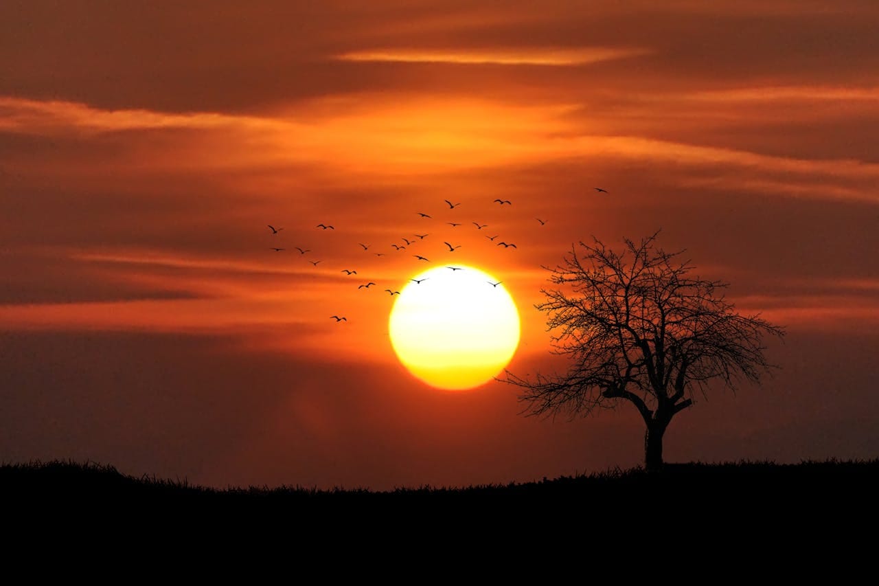 Unique 75+ Comments for Sunset Photos — Trending Us