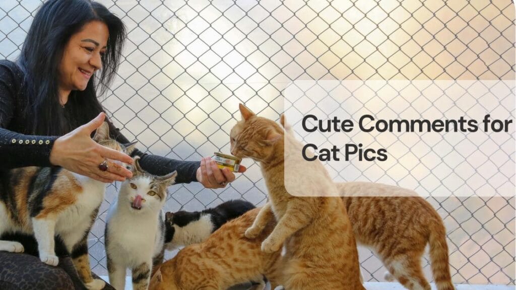 Top 100+ Comments for Pet Selfies — Trending Us