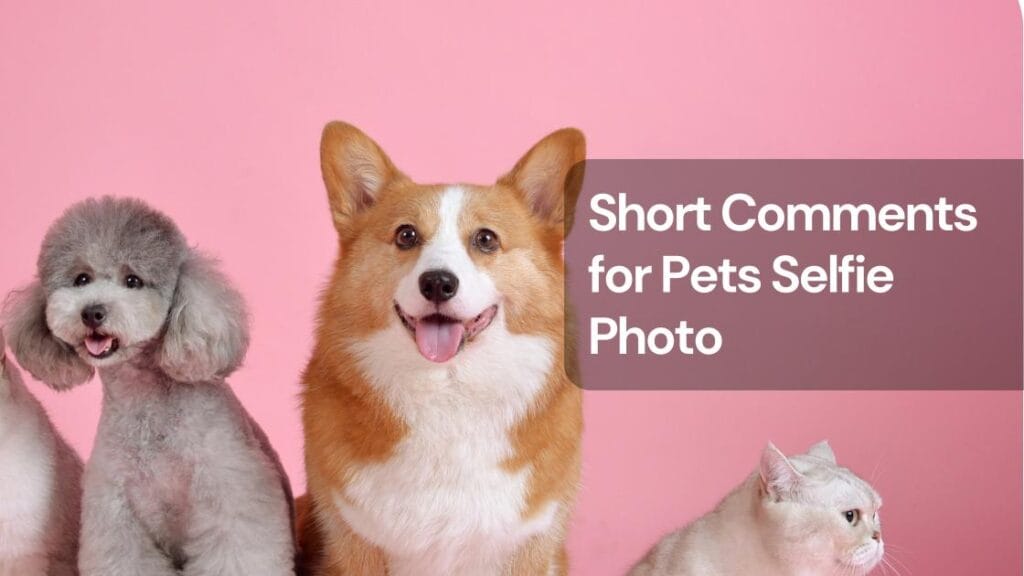 Top 100+ Comments for Pet Selfies — Trending Us