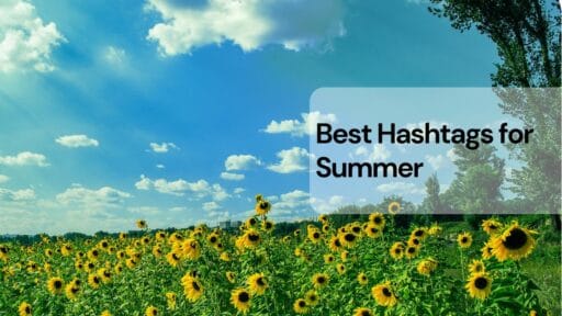 70+ Top Summer Hashtags for Instagram — Trending Us