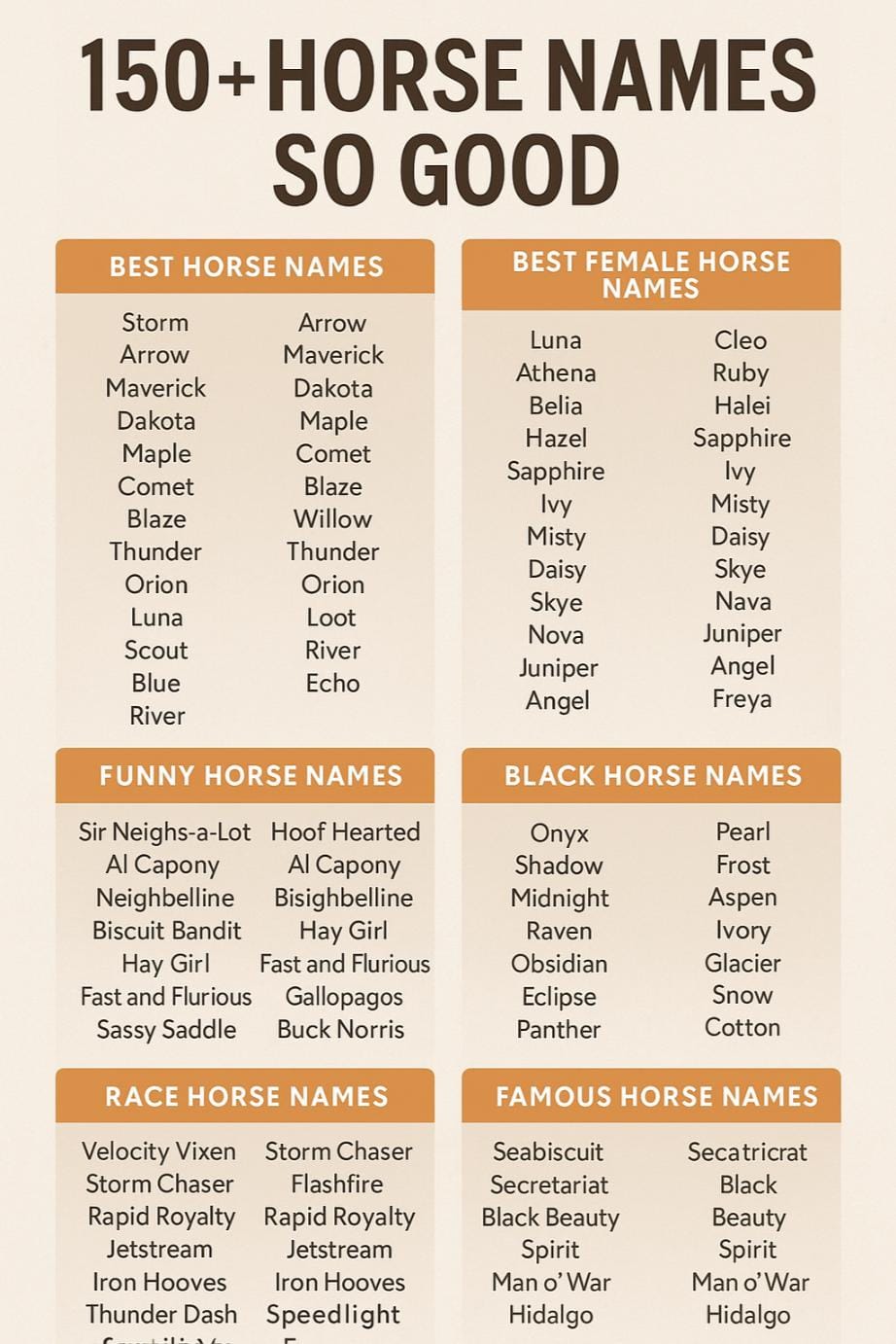 200+ Best Horse Name Ideas for Your Pony — Trending Us