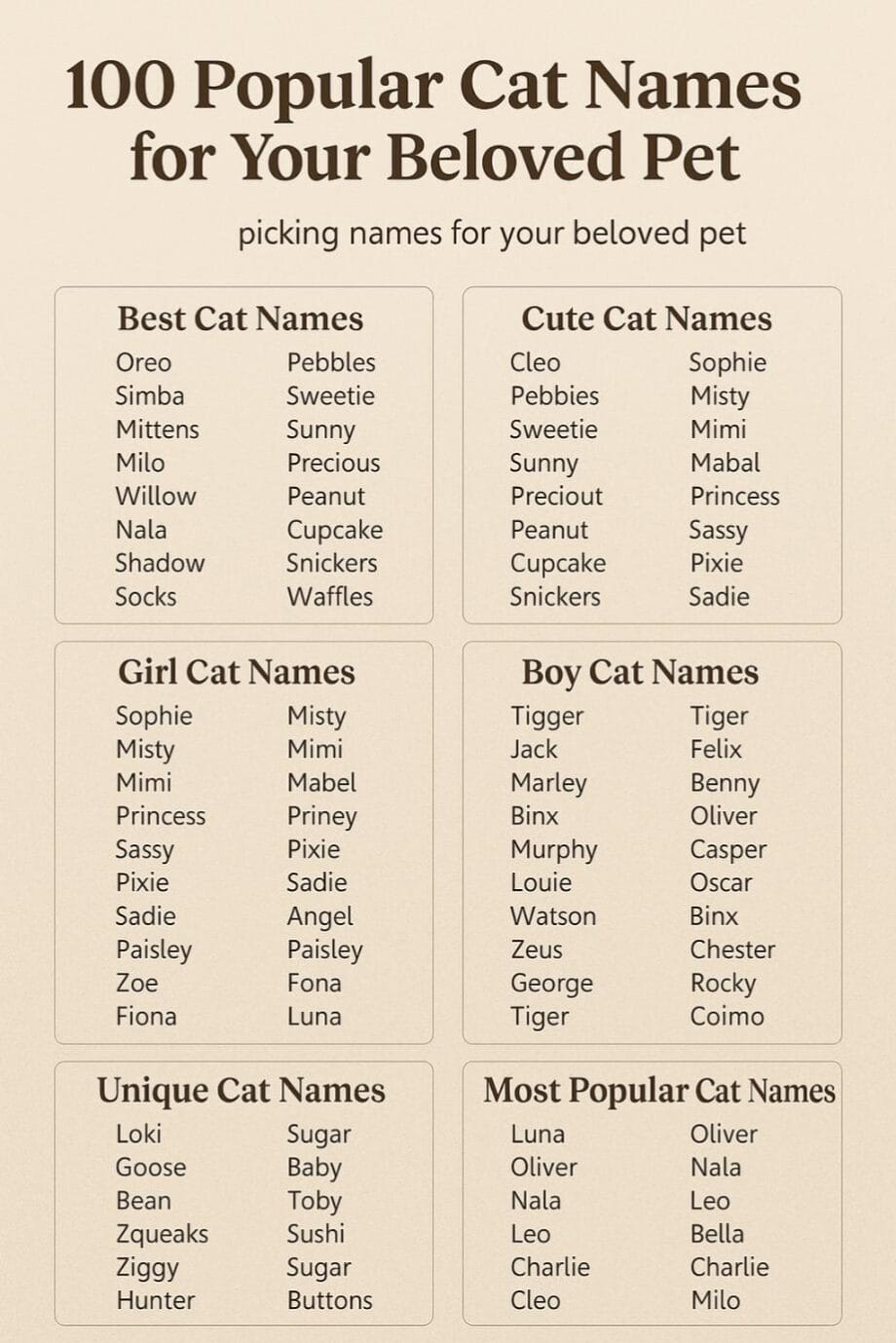 120+ Popular Cat Names Ideas for Your Beloved Furry Friend! — Trending Us