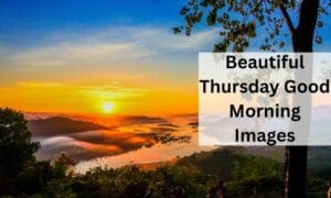 20+ Best Thursday Good Morning Images to Send — Trending Us