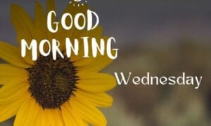20+ Wednesday Good Morning Images to Share — Trending Us