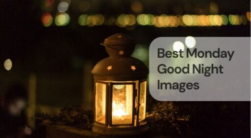 20+ Best Monday Good Night Images to Share — Trending Us