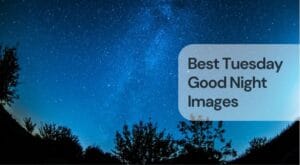 20+ Tuesday Good Night Images to Forward — Trending Us