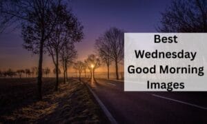 20+ Wednesday Good Morning Images to Share — Trending Us