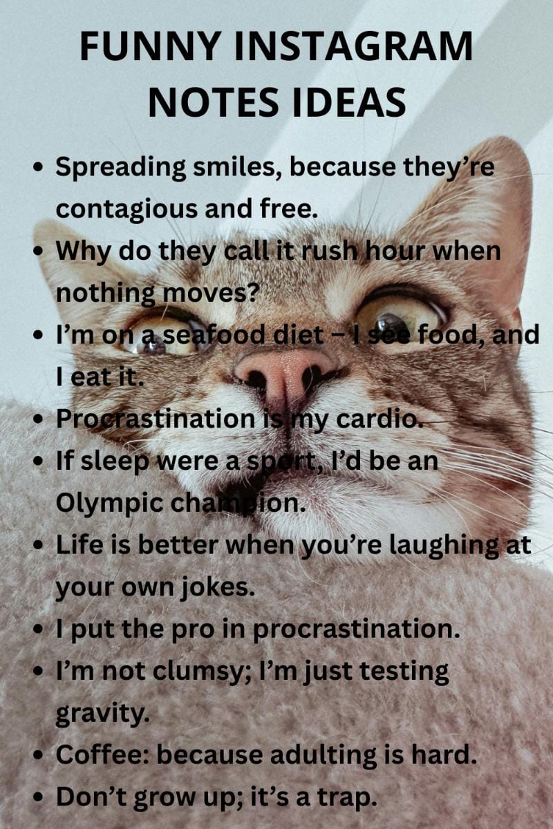60+ Funny Instagram Notes Ideas to Get a Laughter — Trending Us