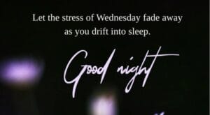 20+ Best Wednesday Good Night Images — Trending Us