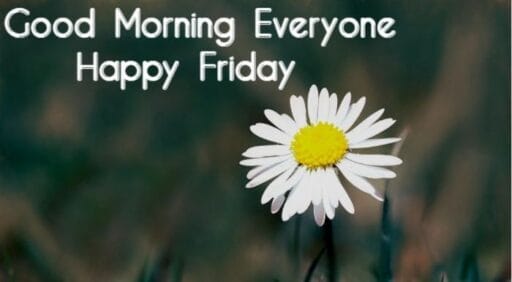 15+ Friday Good Morning Images with Quotes — Trending Us