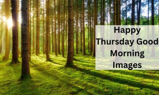 20+ Best Thursday Good Morning Images to Send — Trending Us