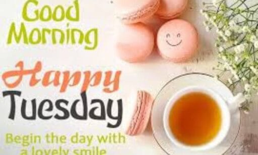 20+ Tuesday Good Morning Images to Forward — Trending Us