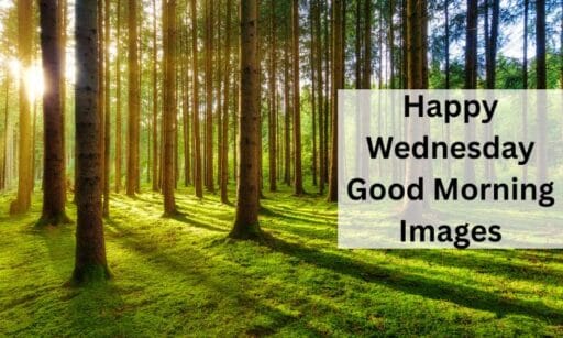 20+ Wednesday Good Morning Images to Share — Trending Us