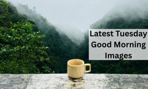 20+ Tuesday Good Morning Images to Forward — Trending Us