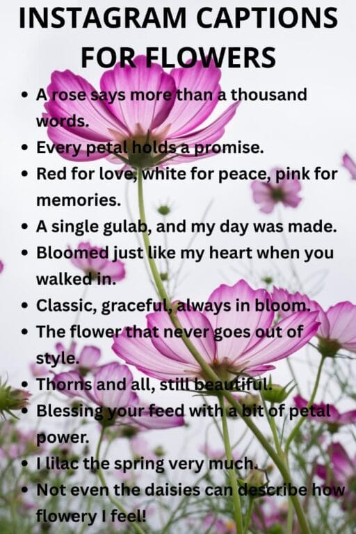 75+ Instagram Captions for Flowers for Your Beautiful Post — Trending Us
