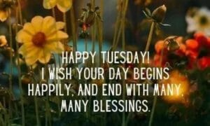 20+ Tuesday Good Morning Images to Forward — Trending Us