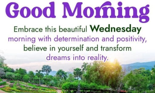 20+ Wednesday Good Morning Images to Share — Trending Us