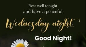 20+ Best Wednesday Good Night Images — Trending Us