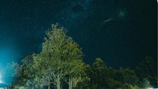 80+ Thursday Good Night Images to Download & Send — Trending Us