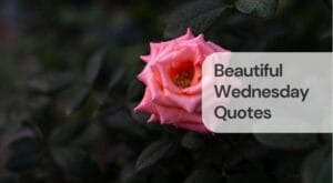 75+ Top Positive Wednesday Quotes for Instagram — Trending Us