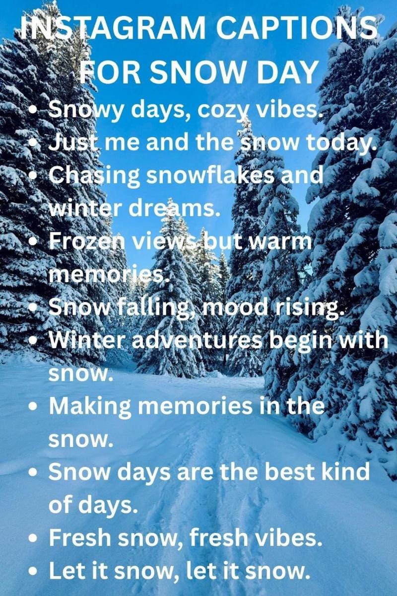 50+ Instagram Captions for Snow Day Pictures & Posts — Trending Us